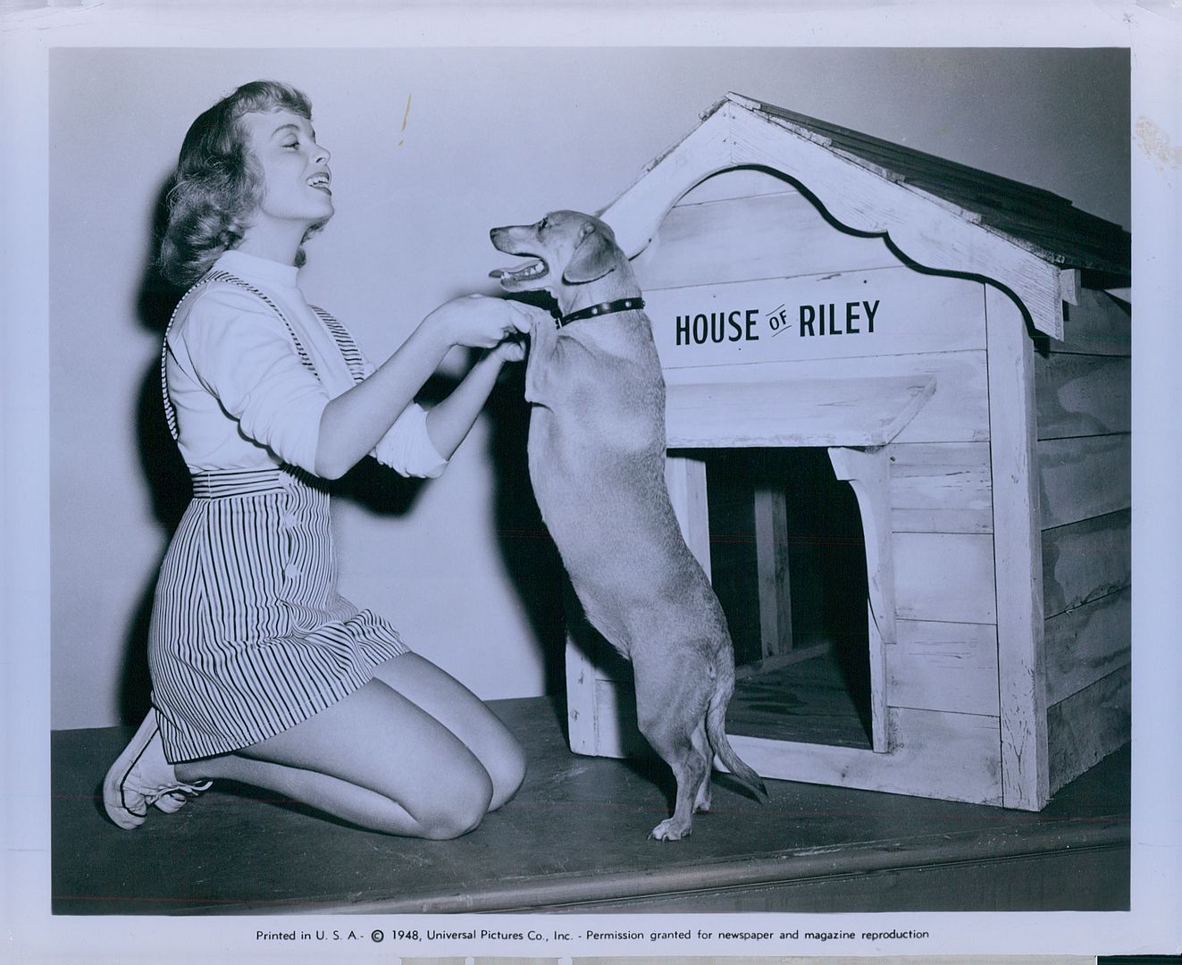1948 Meg Randall Hollywood Starlet & Canine RILEY Press Photo | eBay